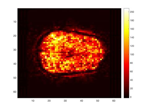 Spm12matlab Scripting Tutorial Post 2