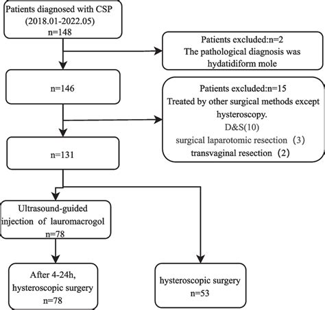 Flowchart Of Participant Selection Process Csp Cesarean Scar Download Scientific Diagram