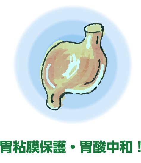 製品特長新キャベ2ｺｰﾜKowa