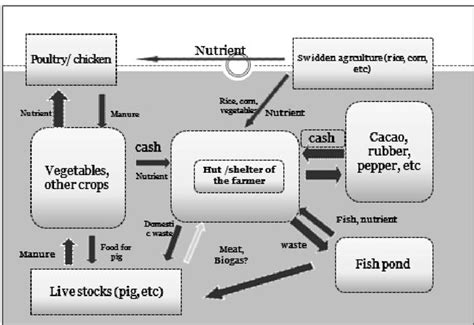 Interactions Between Different Elements In A Daleh Swidden Agriculture