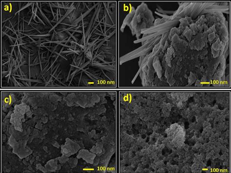 FE SEM Images Of A TiO2 B 2 W TiO2 C 3 W TiO2 And D 4 W TiO2 Download Scientific Diagram