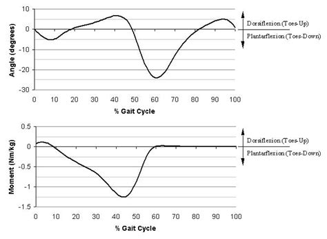 Normal Ankle Gait Kinematics And Kinetics Download Scientific Diagram