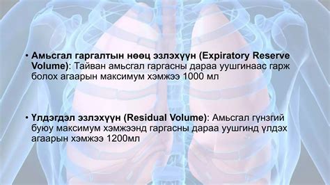 Амьсгалын эрхтэн тогтолцооны физиологи Pptx