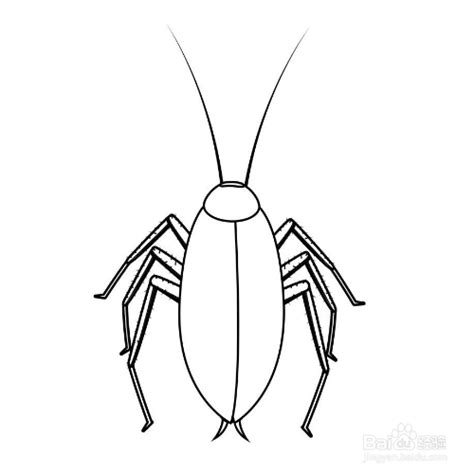 蟑螂画法简笔画蟑螂简笔画画法 伤感说说吧
