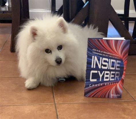 Wow Development Quality Assurance On Linkedin Quantum Computing Ai 5g Iot Cybersecurity