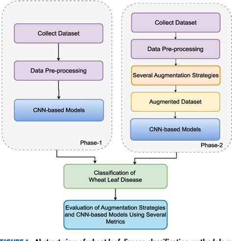 Figure 1 From Improving Wheat Leaf Disease Classification Evaluating Augmentation Strategies