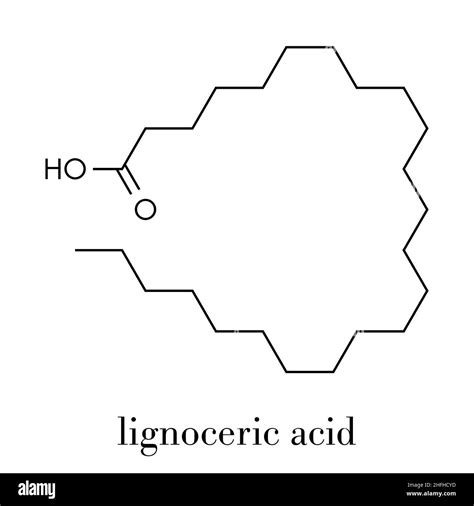 Lignoceric Tetracosanoic Acid Molecule Saturated Fatty Acid