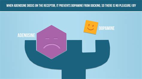 How Caffeine And Weed Interact