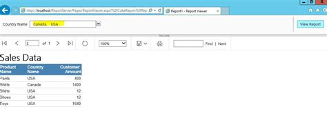 Parameterize A Ssrs Report Using Ssas Data Jim Salaseks Sql Server Blog
