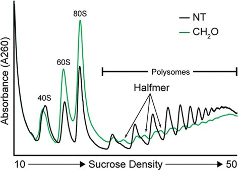 Polysome Profiling Is An Extensible Tool For The Analysis Of Bulk