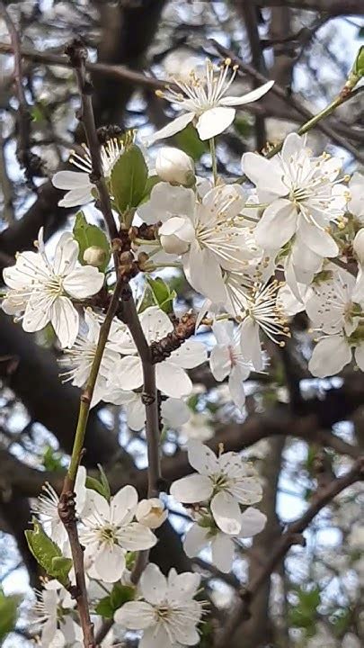 Господи боже мой Иисусе Христе сохрани моего любимого сына на всех его путях Youtube