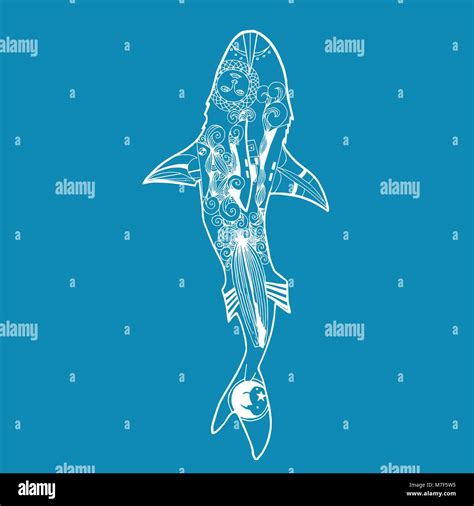 Shark Top View