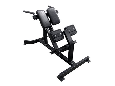 Weighted Back Extensions Weighted Back Extensions