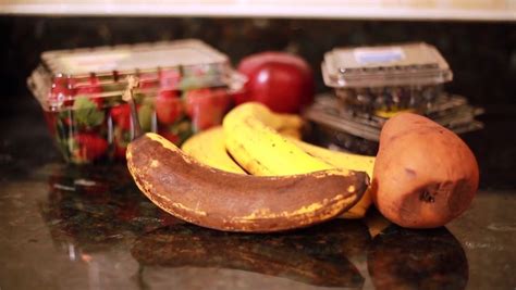 Video Of Expiration Dates Britannica