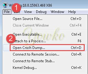 使用 WinDbg 查出 Redis OOM Out of Memory Yowko s Notes