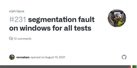 Segmentation Fault On Windows For All Tests Issue Xiph Opus Github
