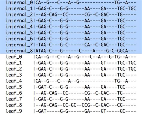 Sequence Simulation One Subset Of Simulated Sequence Data For The