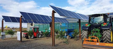 Agrivoltaico A Scalea Lenergia Del Sole Rende Lagricoltura Più