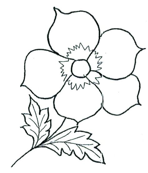 Planse De Colorat Cu Flori Pentru Copii My Xxx Hot Girl