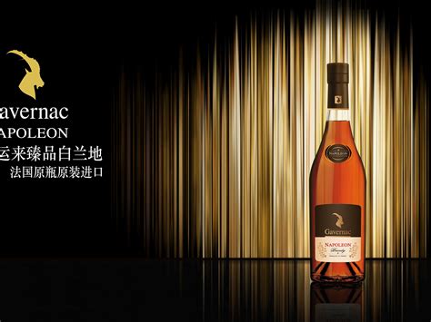 白兰地 海报 浠风 站酷zcool