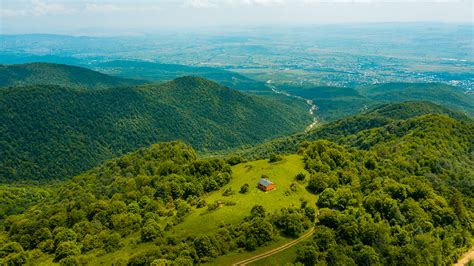 მარიამჯვარის სახელმწიფო ნაკრძალი Trail Construction
