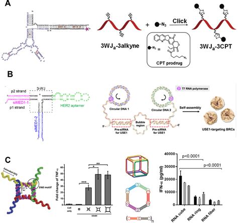 Rna As A Drug For Disease Treatment A Rna Nanoparticles Loaded With Download Scientific