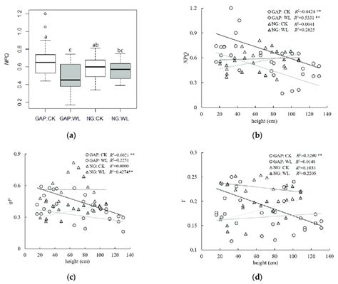 The Chlorophyll Fluorescence Parameters Of C Kawakamii Seedlings In Download Scientific