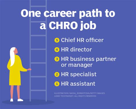 What Is A Chief Human Resources Officer Chro Definition From