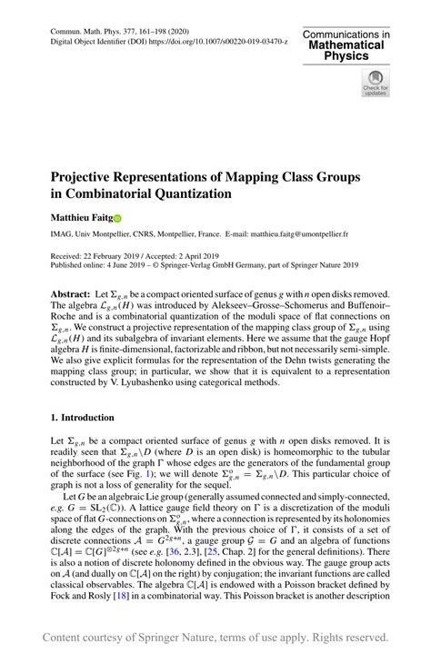Projective Representations Of Mapping Class Groups In Combinatorial
