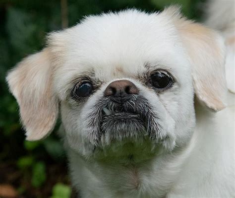 Mary Sinacore On Linkedin Who Will Fall In Love With That Adorable Face