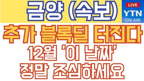 금양 주가전망 긴급속보 추가 블록딜 터진다 12월 이 날짜 정말 조심하세요 Youtube