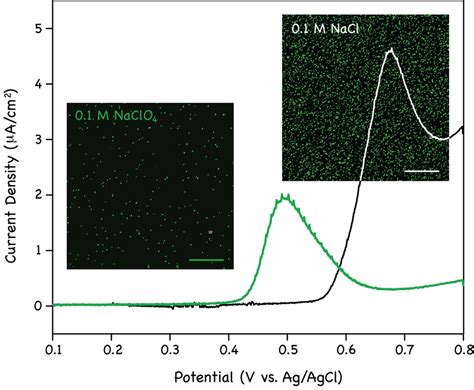 Linear Sweep Voltammograms Of 1 1 Fc‐c11shc12sh Mixed Sams Probed In