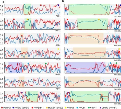 A Chromosome Conformation Capture Ordered Sequence Of The Barley Genome