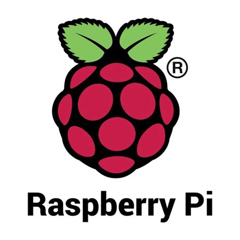 Raspberry Pi Pico 2 Raspberry Pi