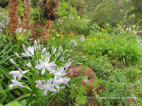 Shade Structures For Nurseries