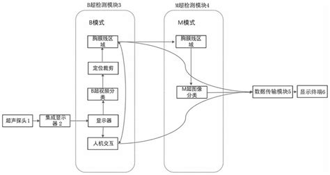 Automatic Pneumothorax Detection System Based On B Mode Ultrasound Eureka Patsnap