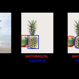 Classification Object Detection And Instance Segmentation Download Scientific Diagram
