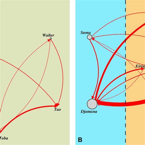Aggressive Interactions For Directed Dyads Differentiated With Regard