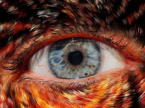 7 Tipos De Síndromes ¿cómo Se Clasifican