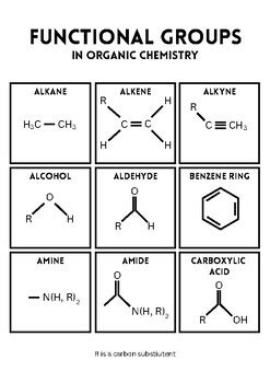 Organic Chemistry Functional Groups Flyer Handout By Kaylie Katsiris