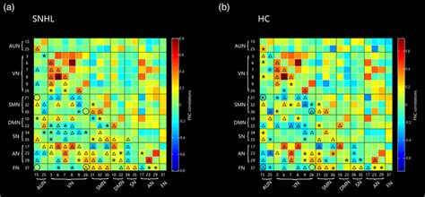 The Functional Connectivity Correlation Matrix Between All Rsns Within Download Scientific