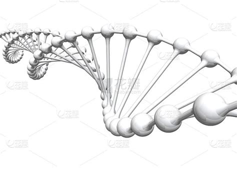 Dna结构3d插图素材 花瓣网