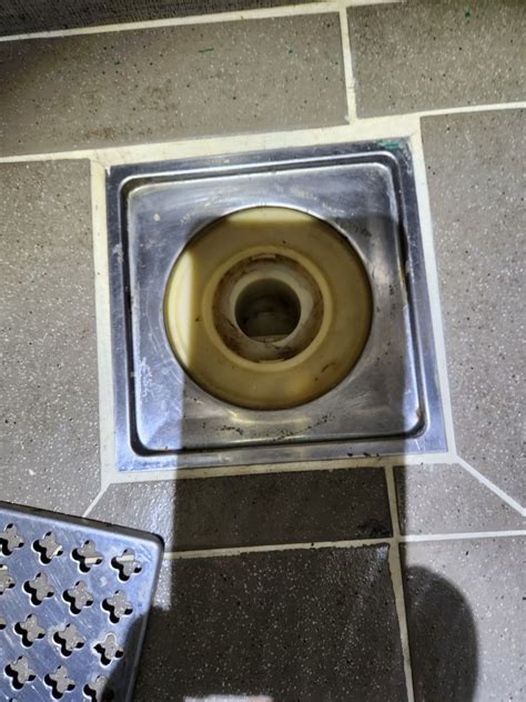 당하동 아파트 화장실 배수구막힘 배관 스케일링 으로 해결해드립니다 인천광역시 서구 마전동 비즈프로필