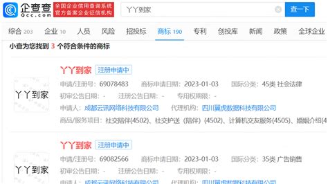 旅美大熊猫丫丫专机已降落上海丫丫到家被抢注商标 凤凰网视频 凤凰网