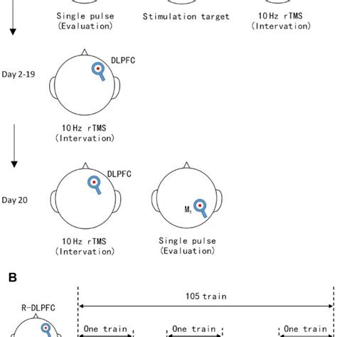 Tms Protocol For Patients A Single Pulse Tms Mep Recordings Before