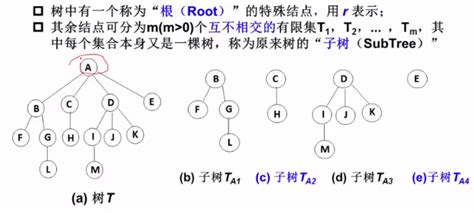 数据结构 学习笔记（四）：树（上）：树的表示，二分查找，二叉树，先中后层次遍历数据结构中如何根据有序顺序表得到二分查找判定树 Csdn博客