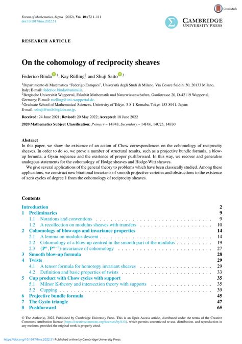 PDF On The Cohomology Of Reciprocity Sheaves