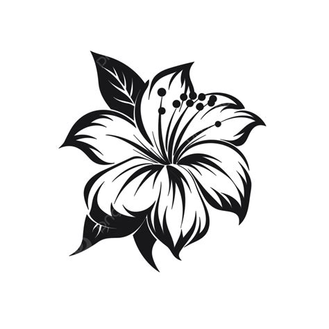 Hibiscus Flower Vector Hibiscus Art Flower Vector Hibiscus Png And