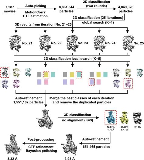 Flow Chart For The Cryo Em Data Processing And Structure Determination Download Scientific