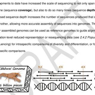 Visualisation Of The Difference Between Short And Long Read Sequencing Download Scientific